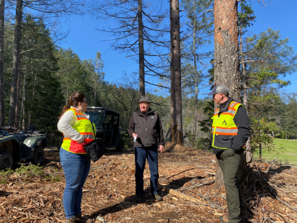 Reducing Hazardous Fuel Loads for Forest Health & Wildfire Risk ...