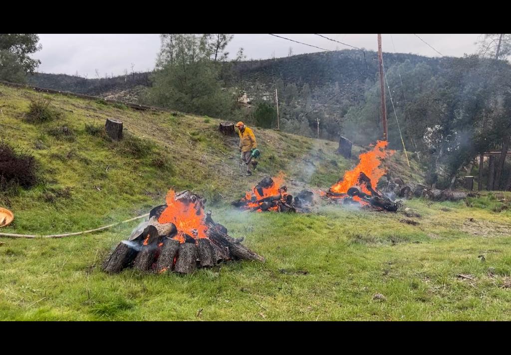 Your Burning Questions: Winter Defensible Space - Napa Communities ...