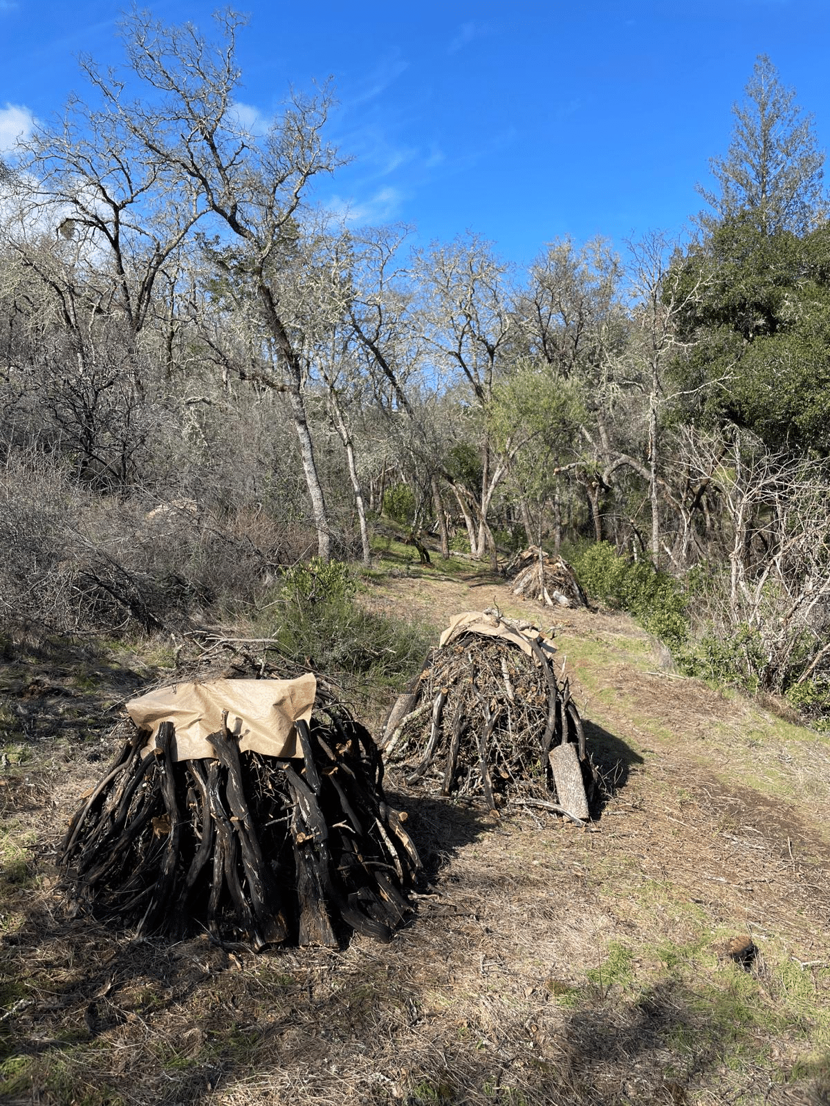 Pile Burning - Napa Communities Firewise Foundation